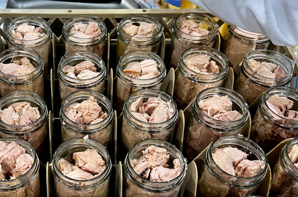 Tuna Processing & Quality - From Sourcing to Meticulous Packaging